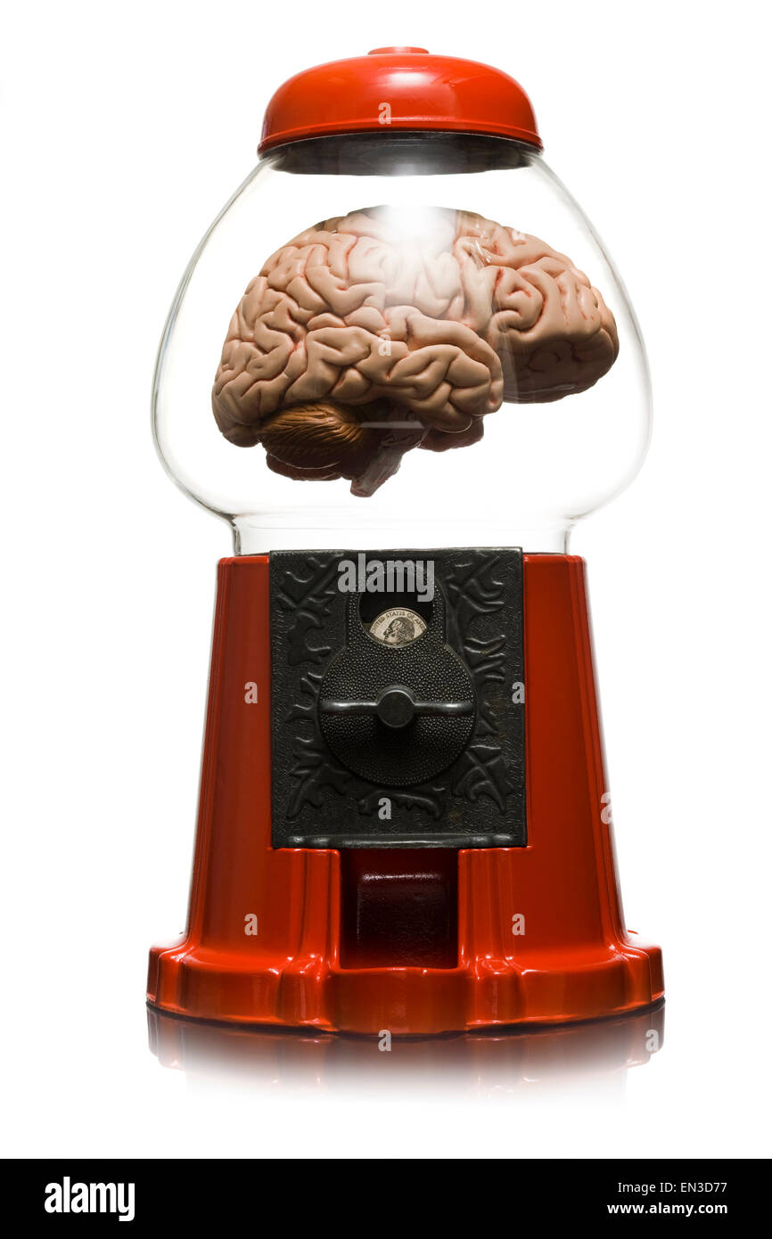 Human brain hi-res stock photography and images - Alamy