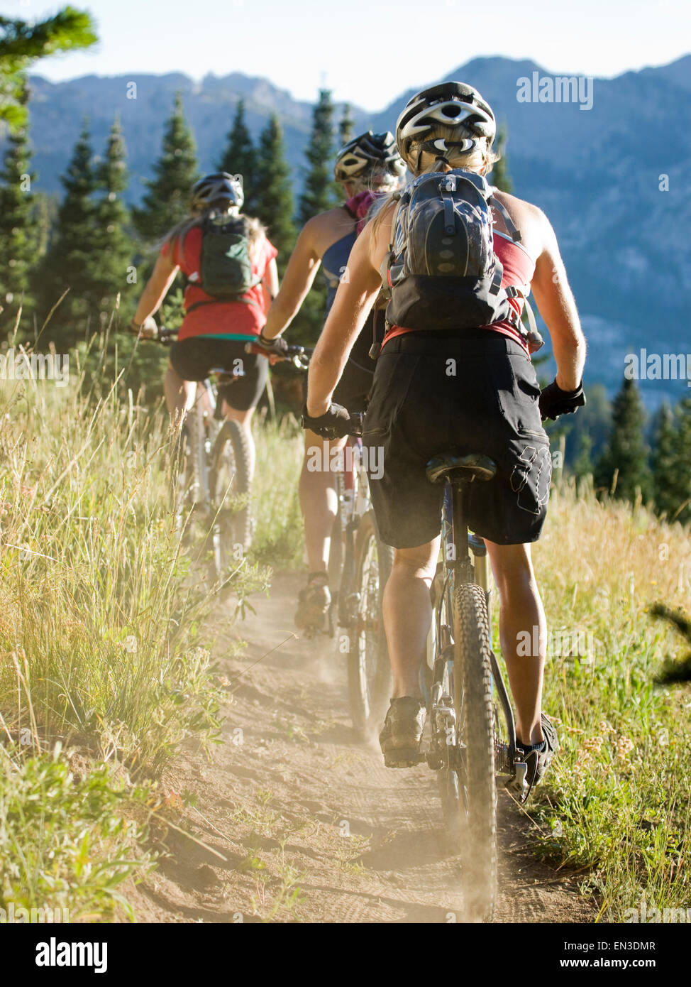 mountain bikers riding along a trail Stock Photo - Alamy