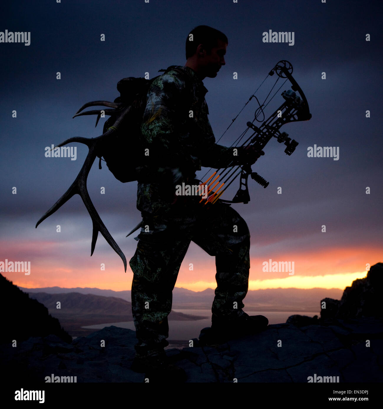 Day and night hunter hi-res stock photography and images - Alamy