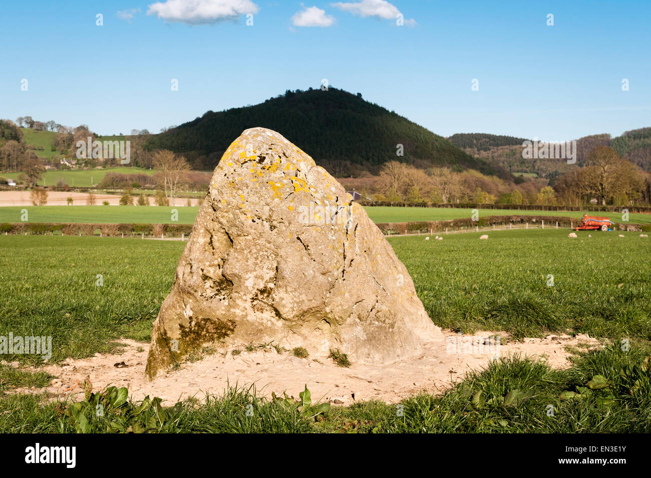 The Knobley Stone (Hoarstone, Oarstone). A Bronze Age standing stone ...
