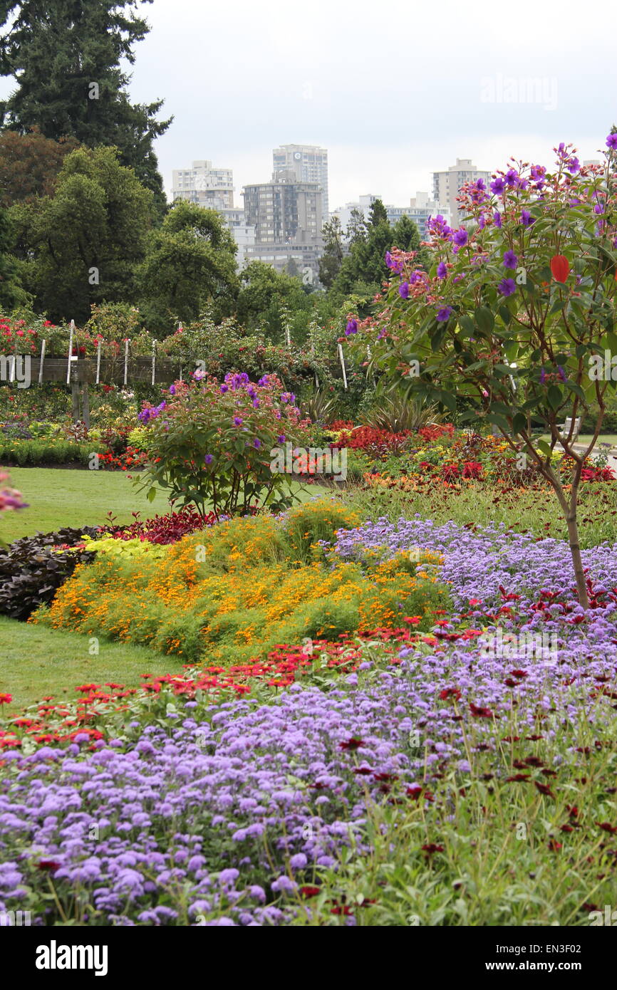 Bright colorful garden Stock Photo - Alamy