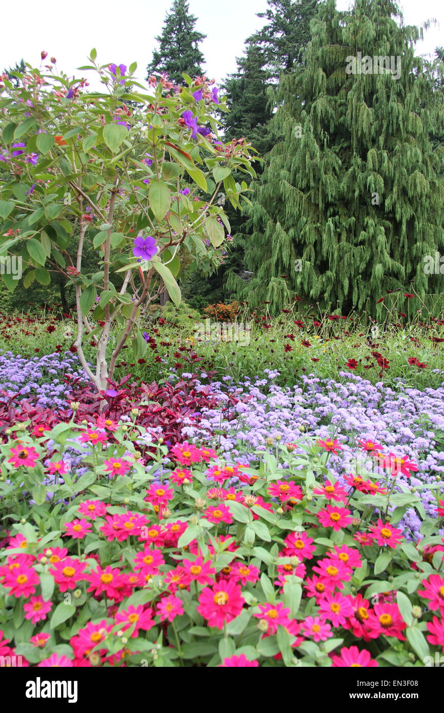 Bright colorful garden Stock Photo - Alamy