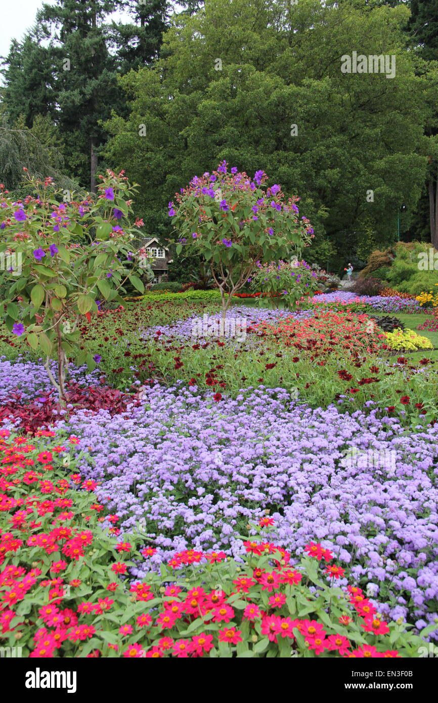 Bright colorful garden Stock Photo - Alamy