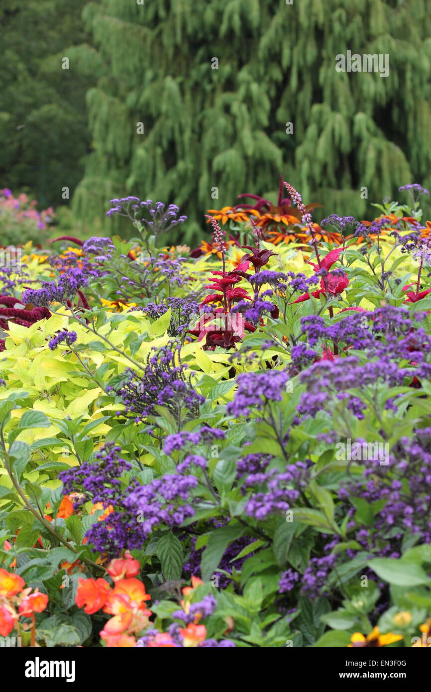 Bright colorful garden Stock Photo - Alamy