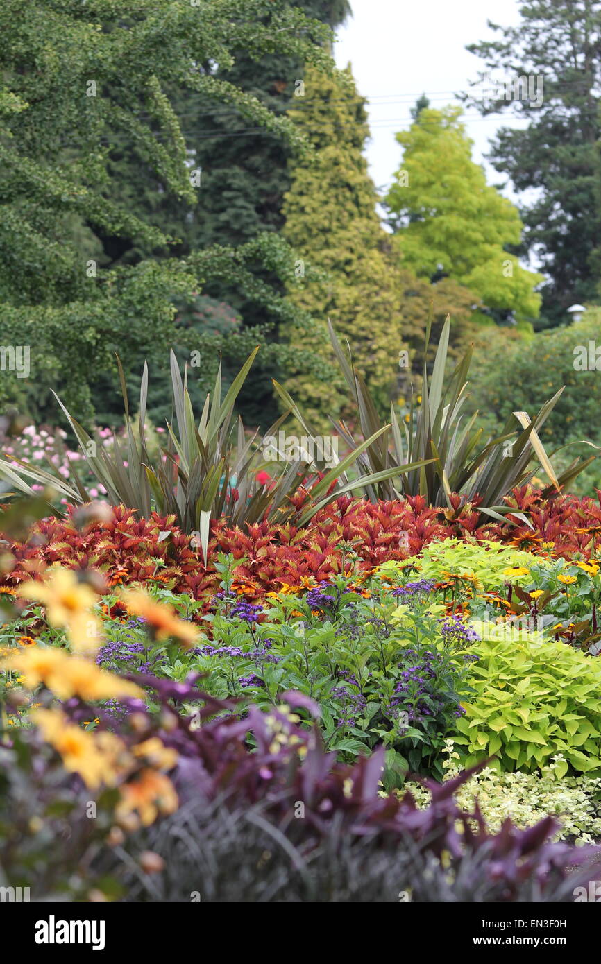 Bright colorful garden hi-res stock photography and images - Alamy