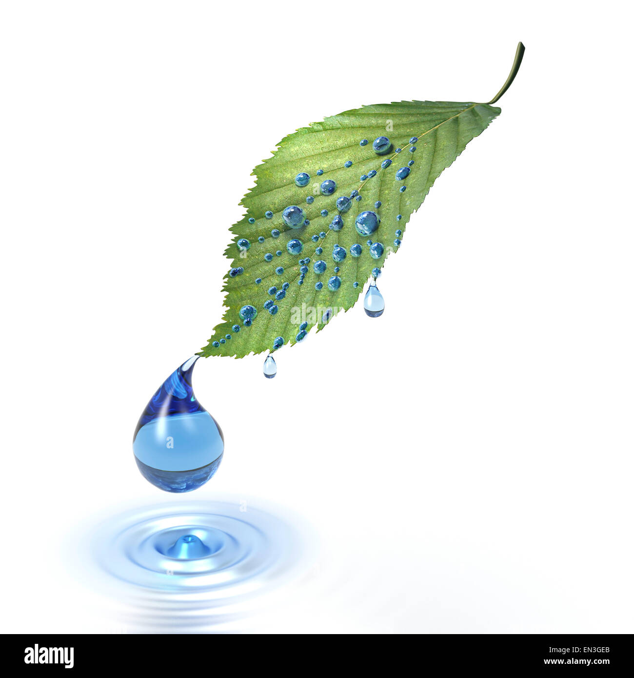 Spring grass water drops Cut Out Stock Images & Pictures - Alamy