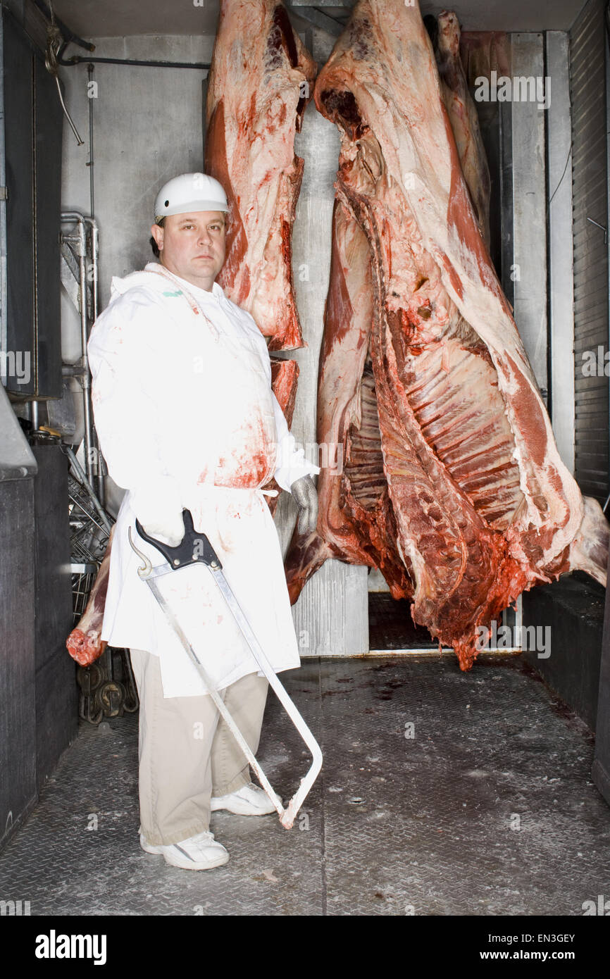 Butcher standing with hanging carcass Stock Photo - Alamy