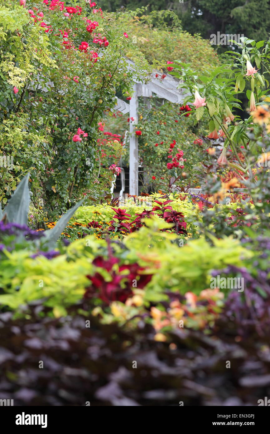 Bright colorful garden Stock Photo - Alamy
