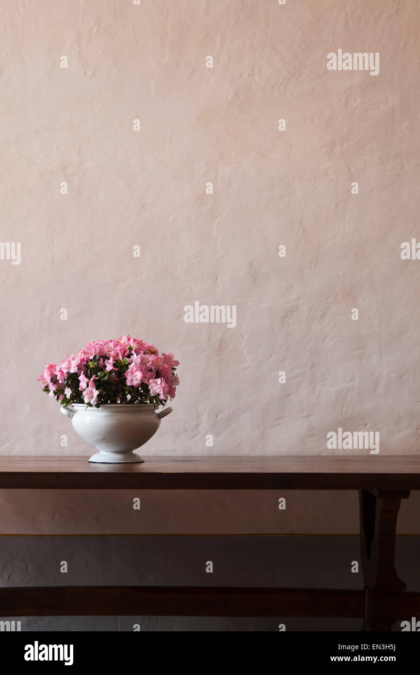 Pink flowers in italy hi-res stock photography and images - Alamy