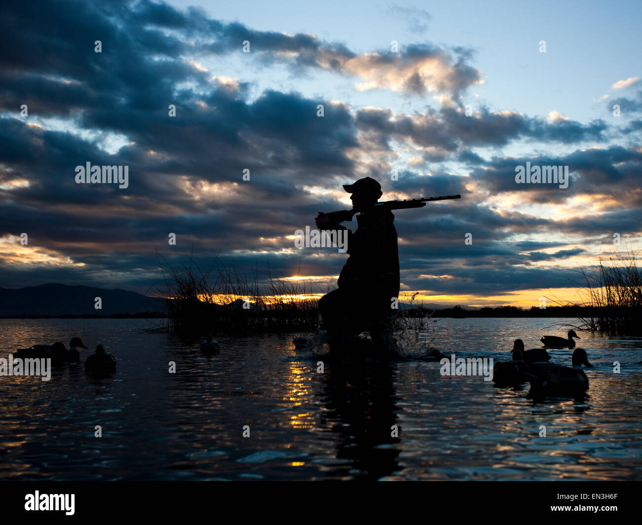 man out hunting Stock Photo - Alamy