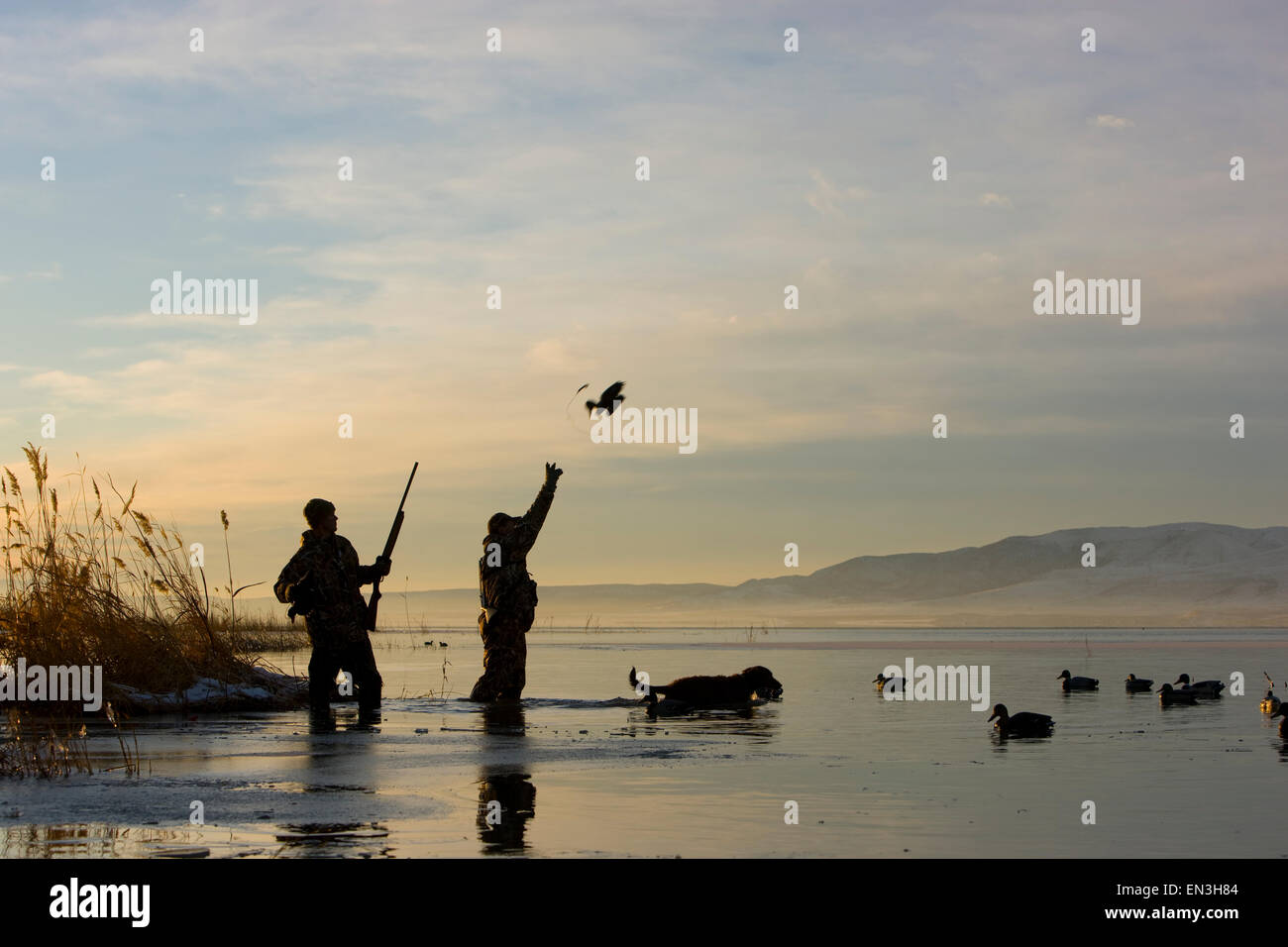 Two men hunting hi-res stock photography and images - Alamy