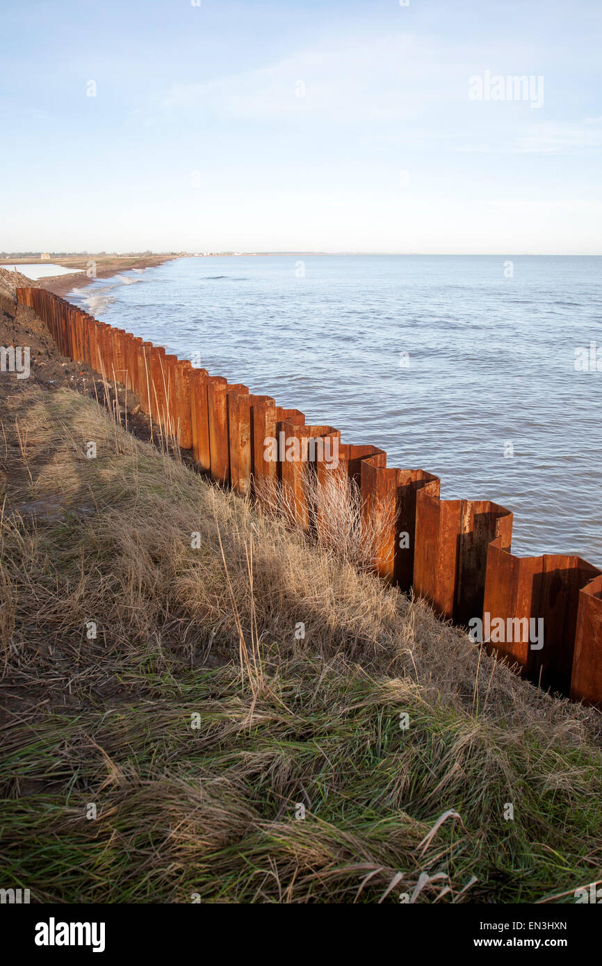 Steel sheet piling constructed as a coastal defence rapid erosion North ...