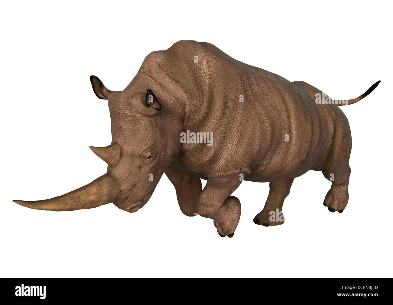 Rhinoceros 3d Render