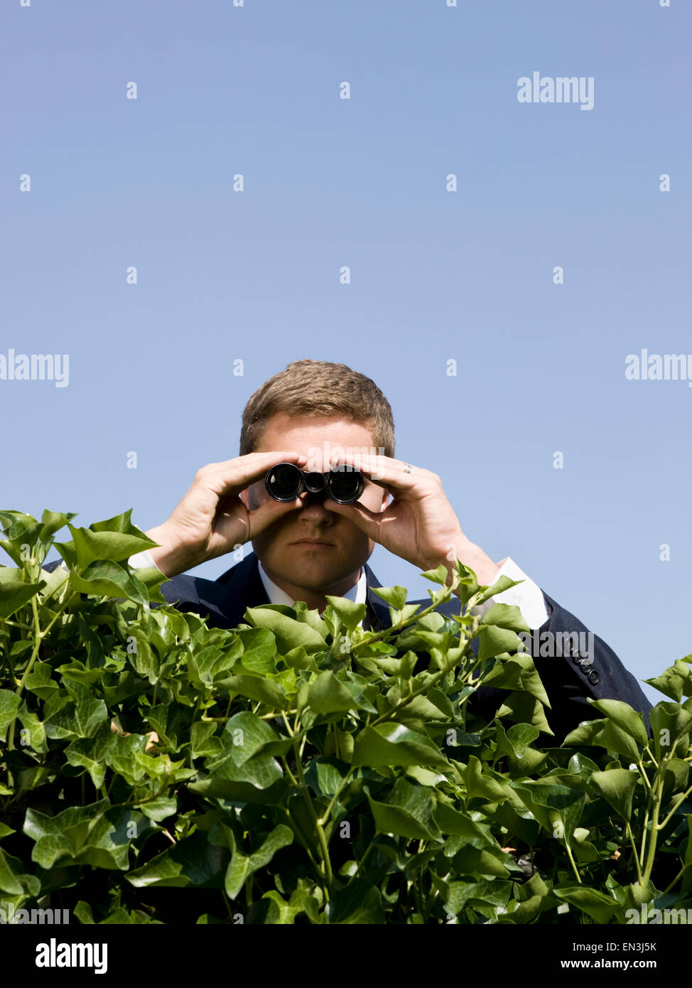 man looking over a hedge with binoculars Stock Photo - Alamy