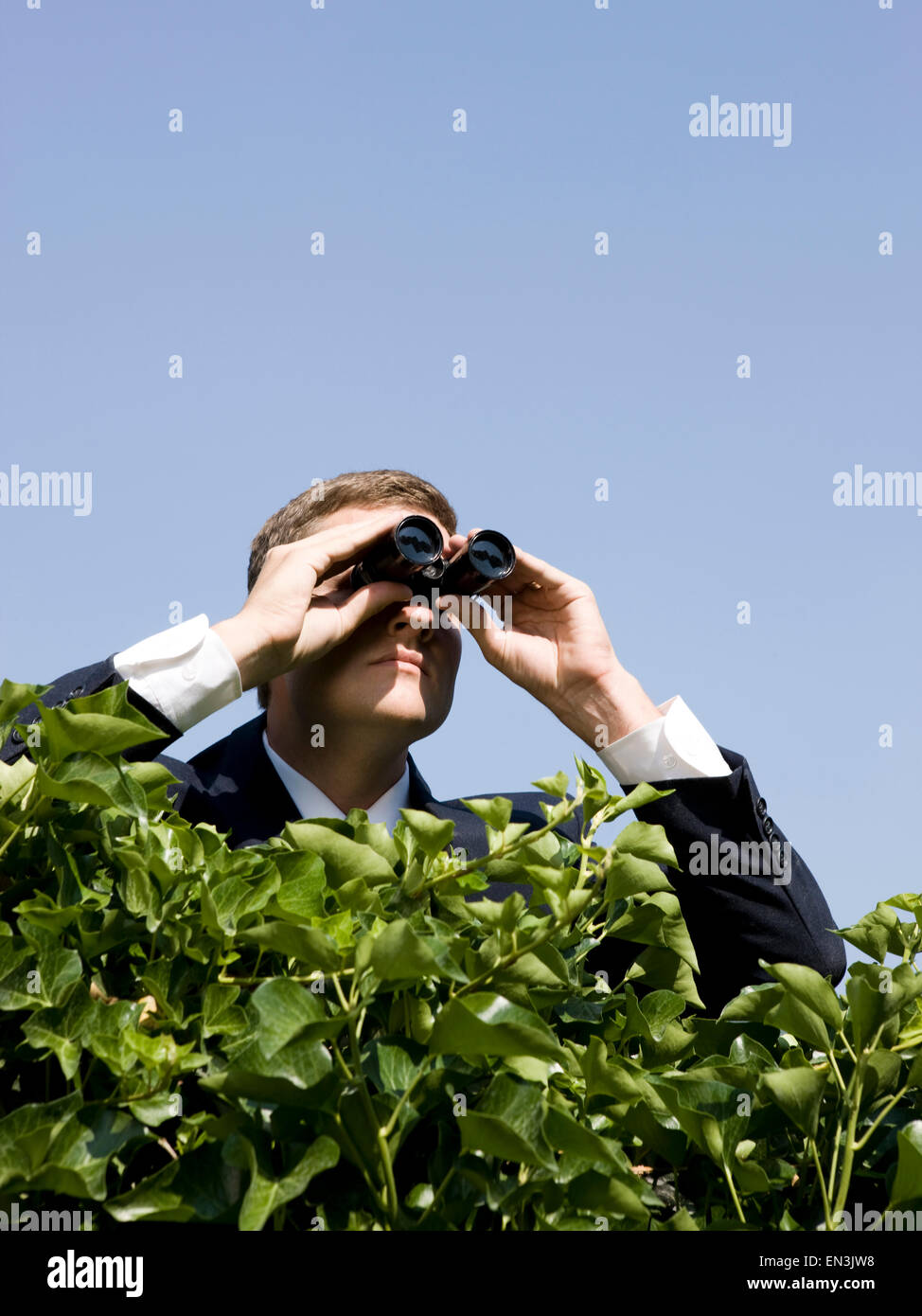 Man looking over hedge binoculars hi-res stock photography and images ...