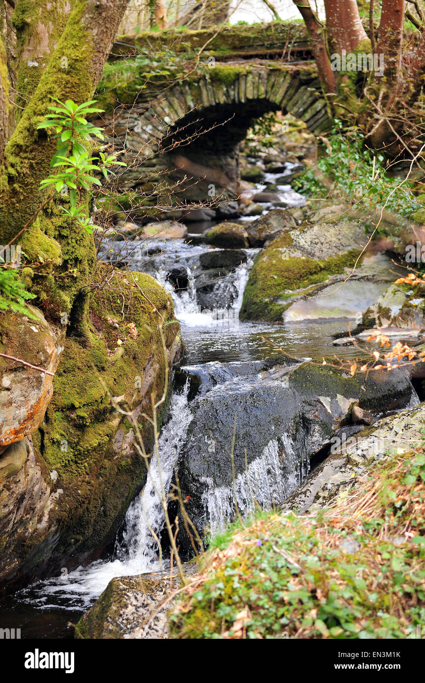 Small stone bridge hi-res stock photography and images - Alamy