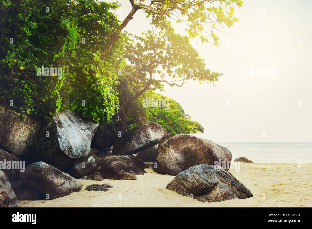 Tropical beach. Vintage effect. Sand, stone and ocean Stock Photo - Alamy