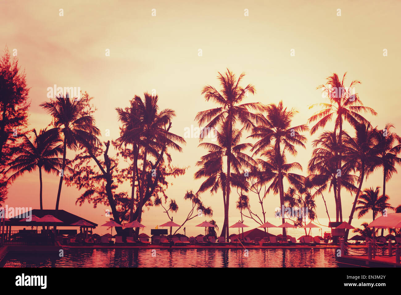 Tropical beach view. Palm tree and red sunset sky. Recreation area with ...