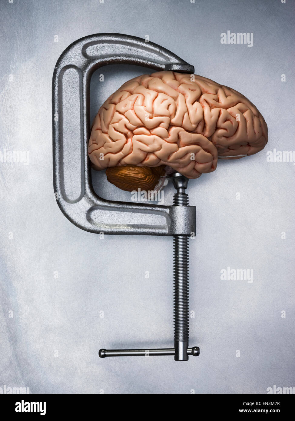 Vise and brain hi-res stock photography and images - Alamy