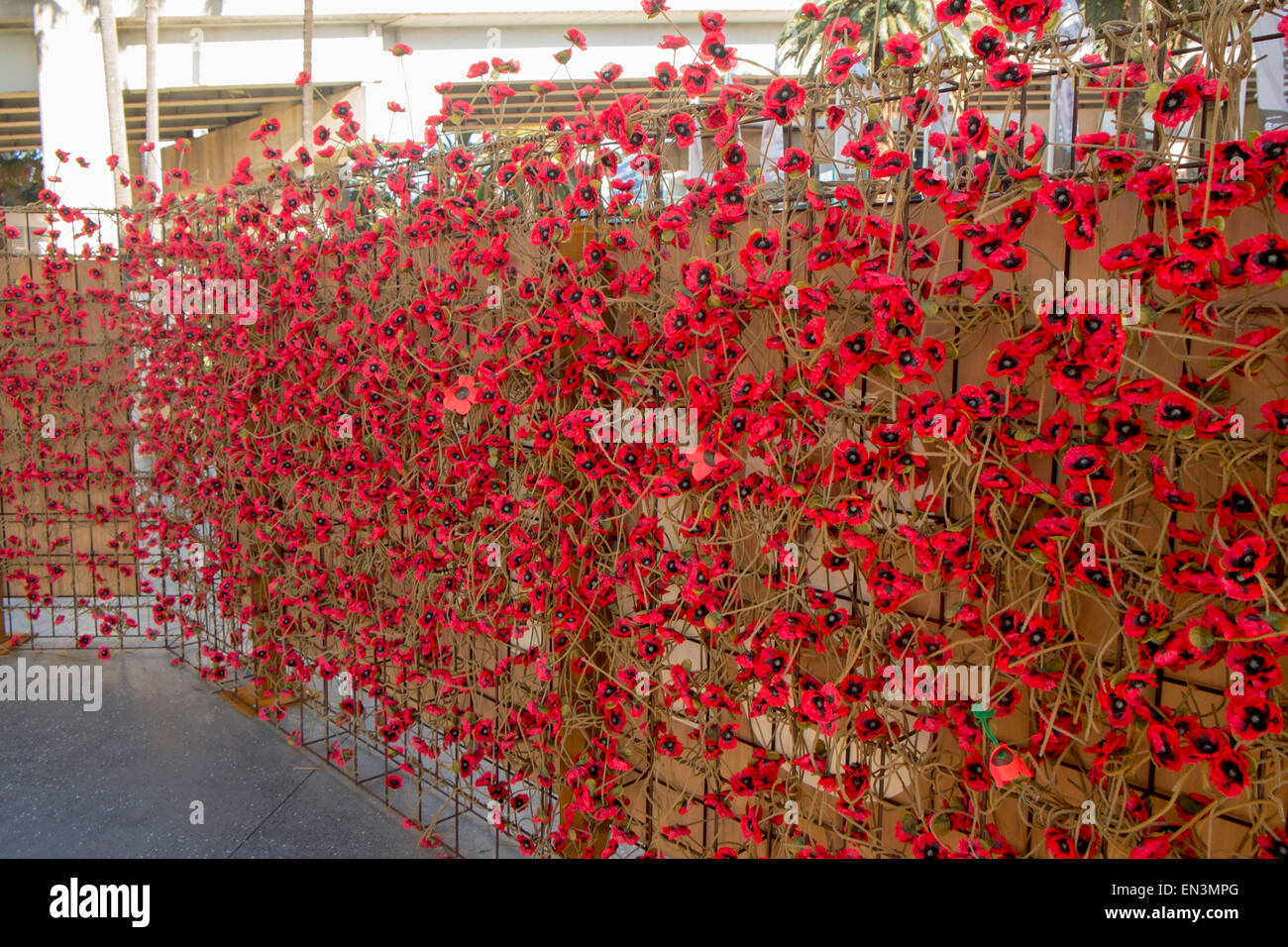 Poppy remembrance hi-res stock photography and images - Alamy