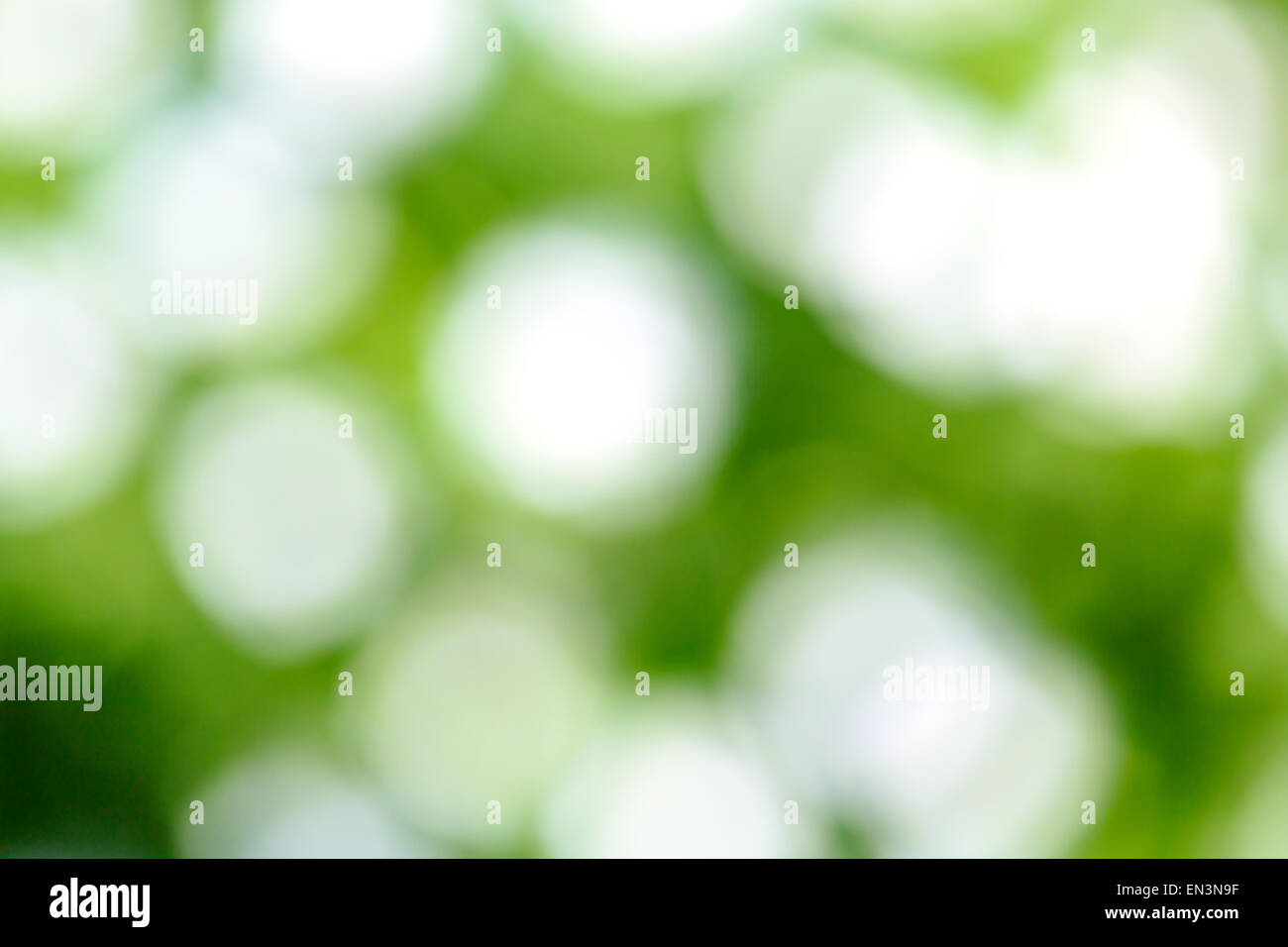 Fresh green blur background. Ecology, eco friendly, environment Stock ...