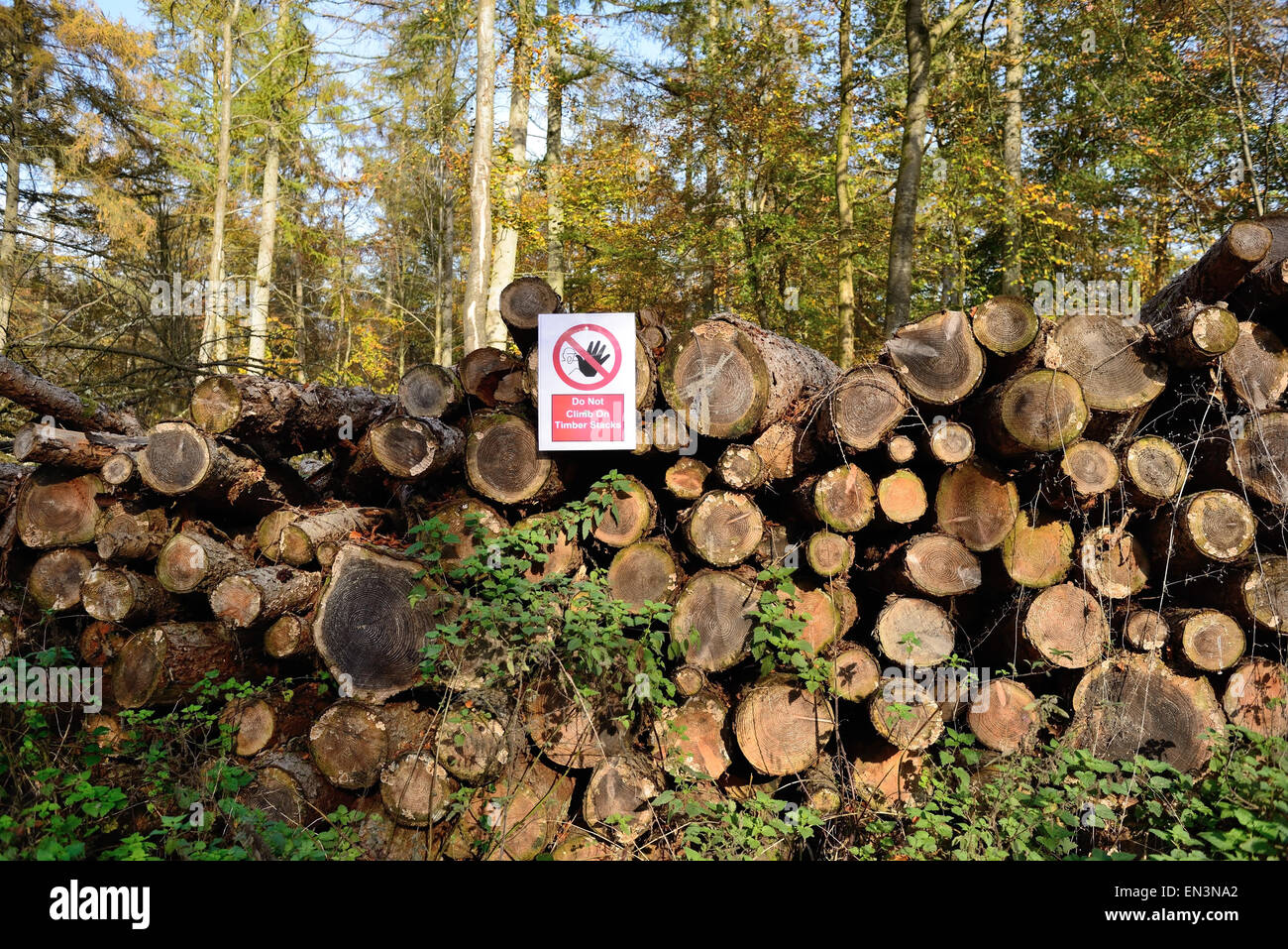 Savernake forest sign hi-res stock photography and images - Alamy