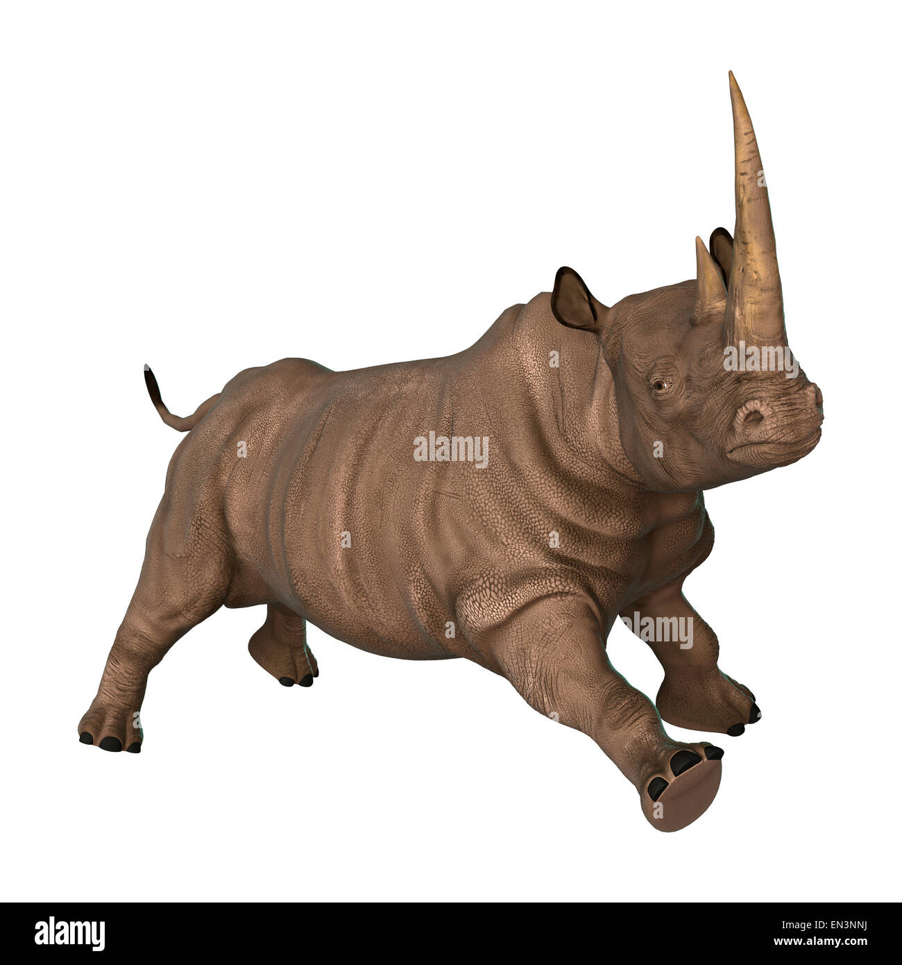 3D digital render of a rhinoceros isolated on white background Stock ...