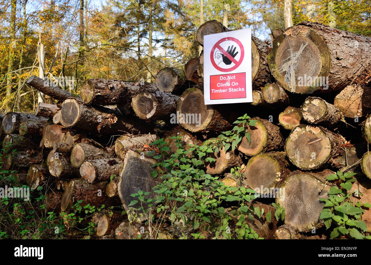 Warning notice on timber stack in the forest Stock Photo - Alamy