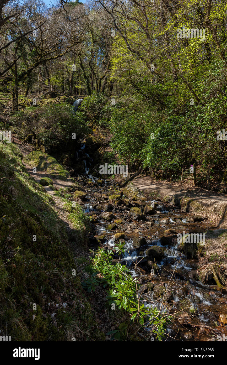 Burrator reservoir waterfall hi-res stock photography and images - Alamy