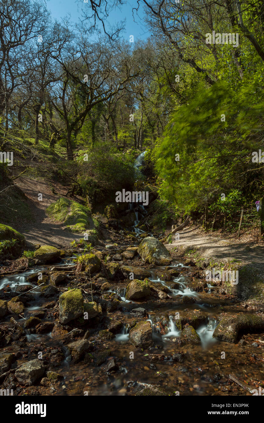 Waterfall and Stream Stock Photo - Alamy
