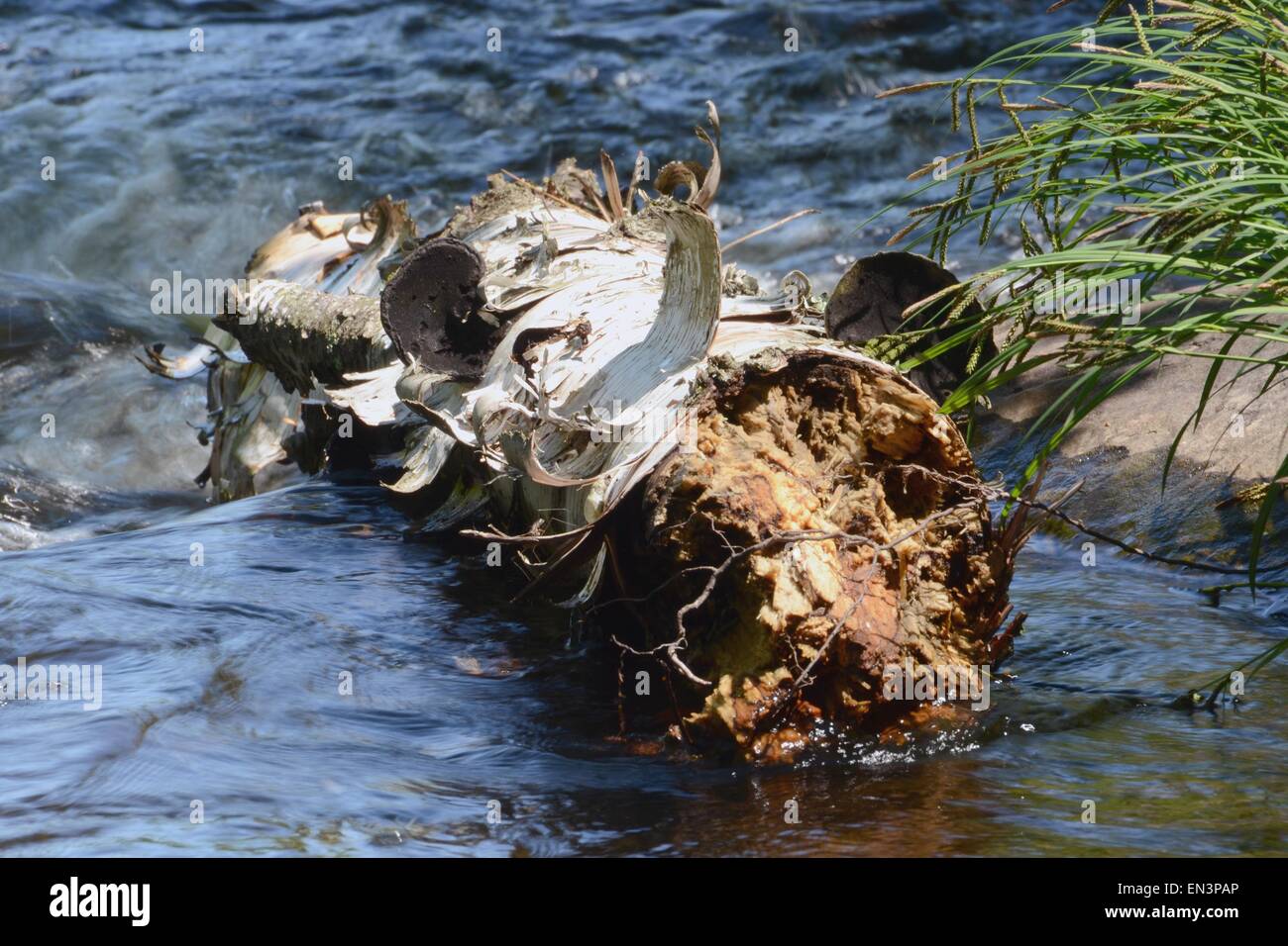 Drift Log High Resolution Stock Photography and Images - Alamy