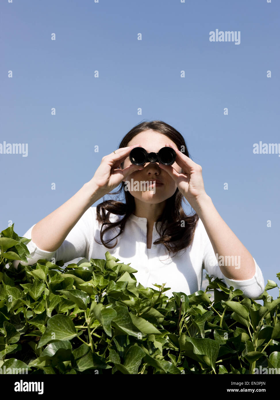 woman looking over a hedge with binoculars Stock Photo - Alamy
