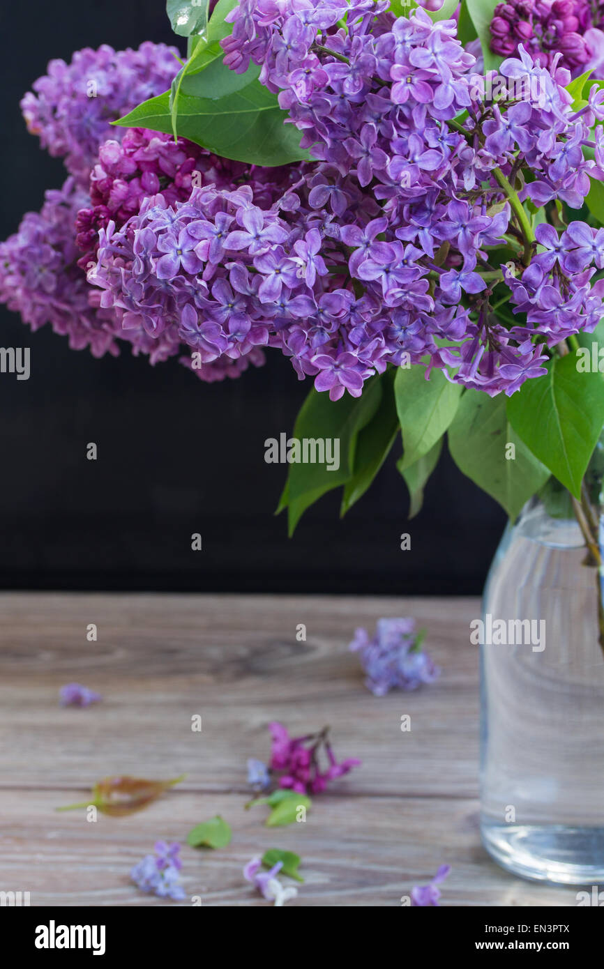 Lilac flowers on black Stock Photo - Alamy