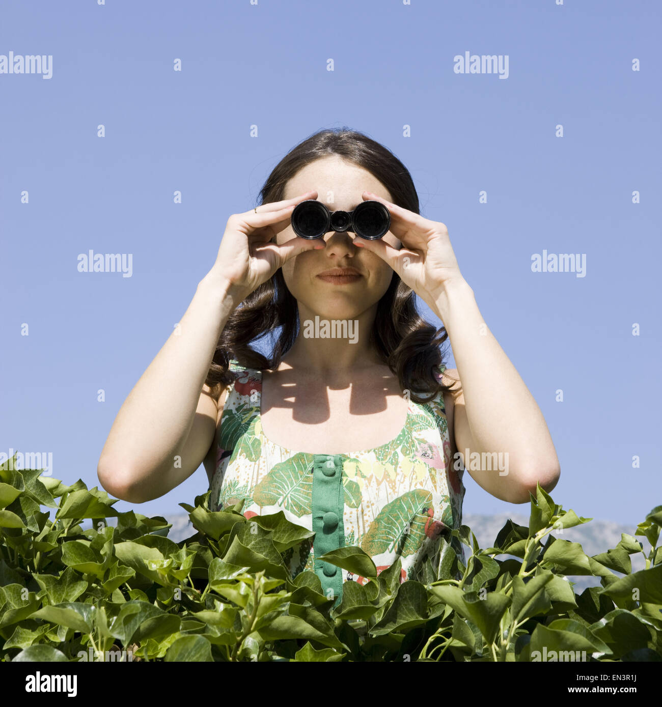 woman looking over a hedge with binoculars Stock Photo - Alamy