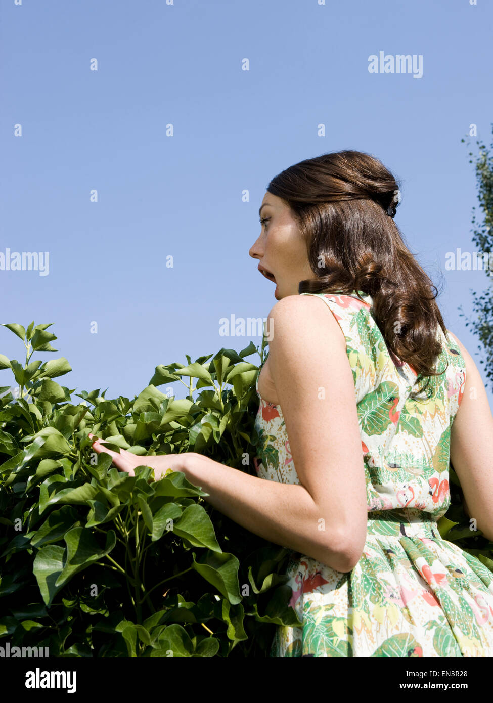 woman looking over a hedge Stock Photo - Alamy