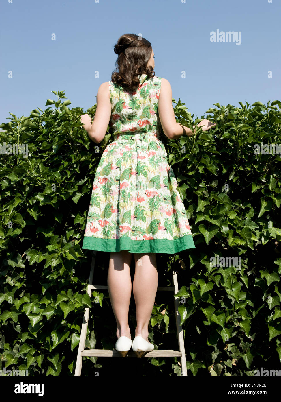 Over the hedge hi-res stock photography and images - Alamy