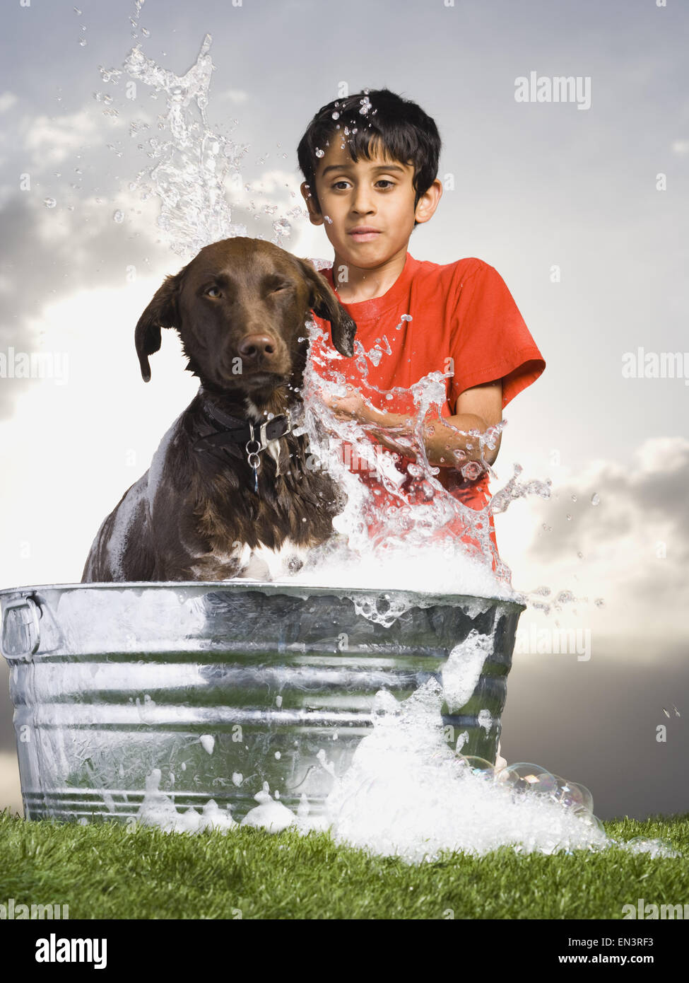 Boy washing dog hi-res stock photography and images - Alamy