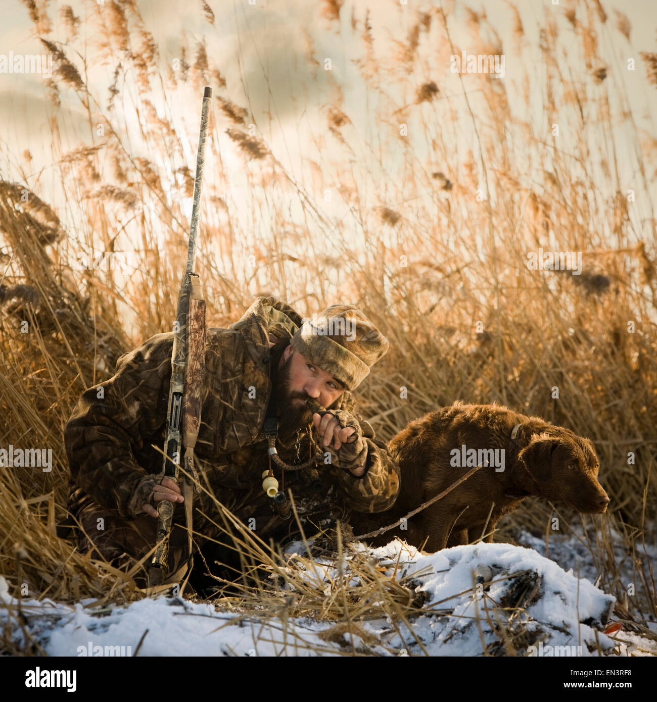 Man dog duck hunting hi-res stock photography and images - Alamy