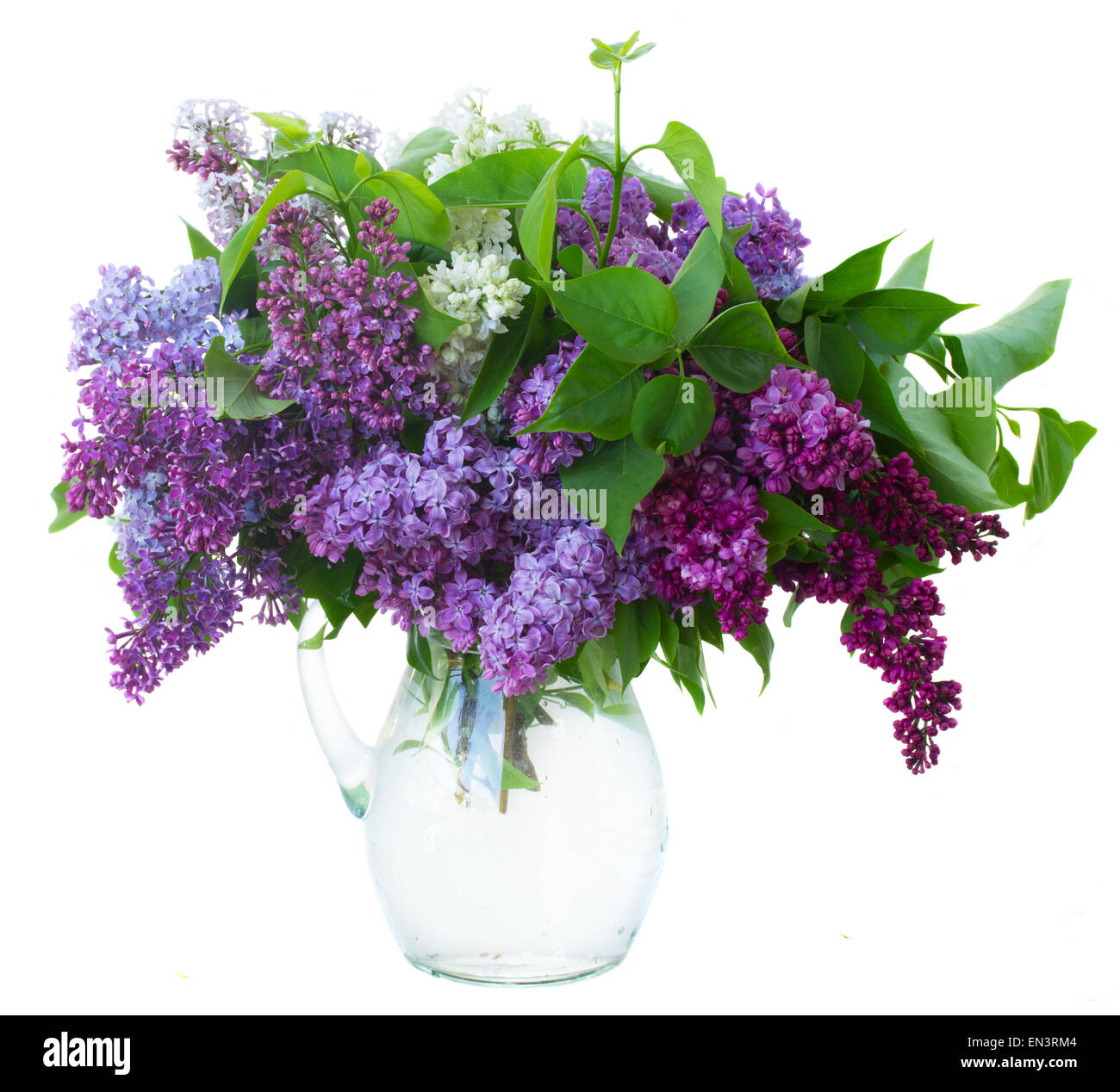 Lilac in vase Stock Photo - Alamy