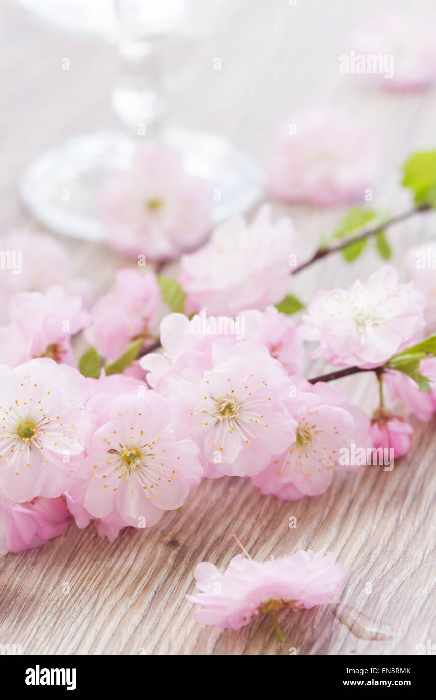 pink cherry flowers Stock Photo - Alamy