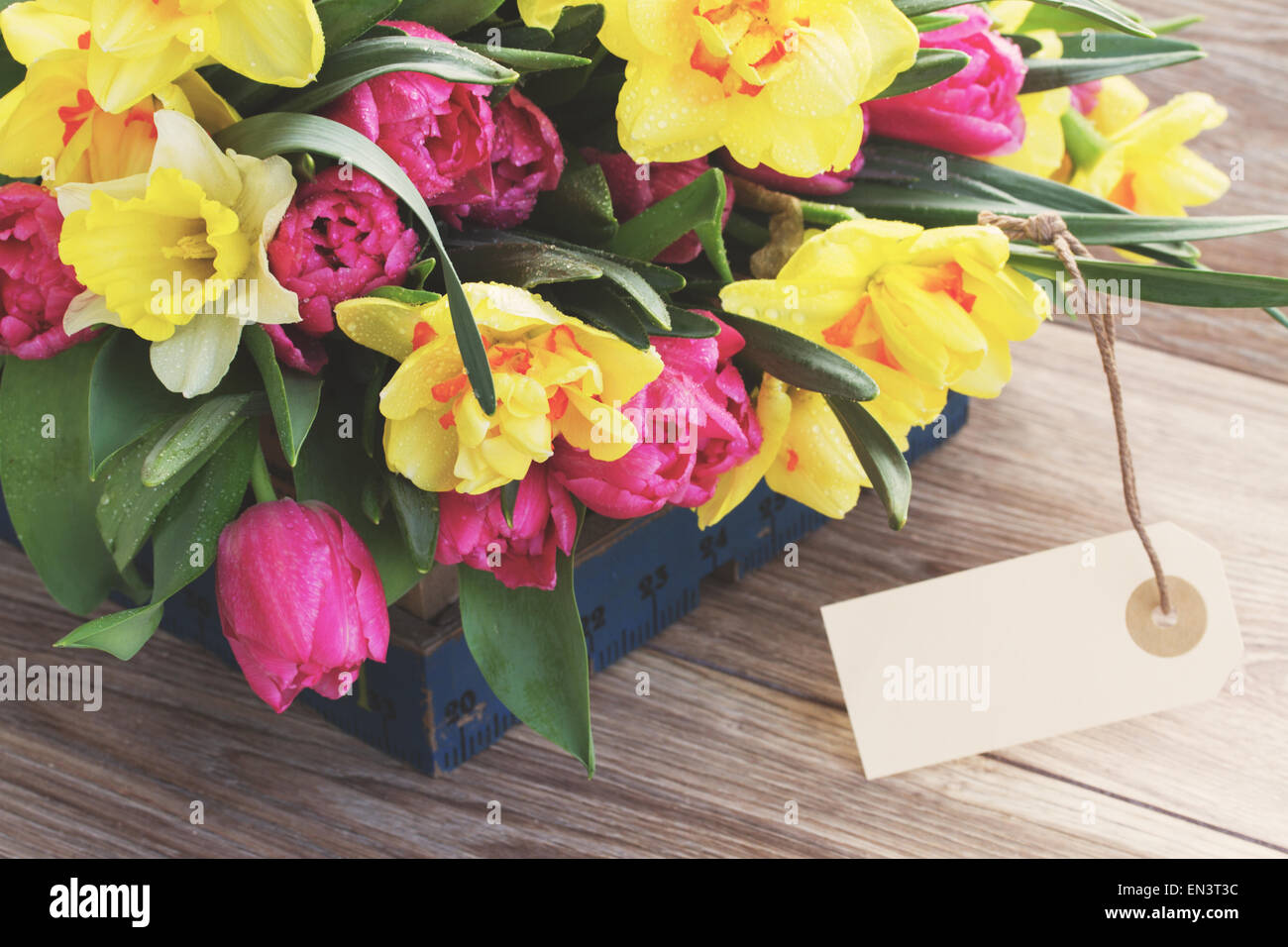 spring flowers with gift box Stock Photo - Alamy