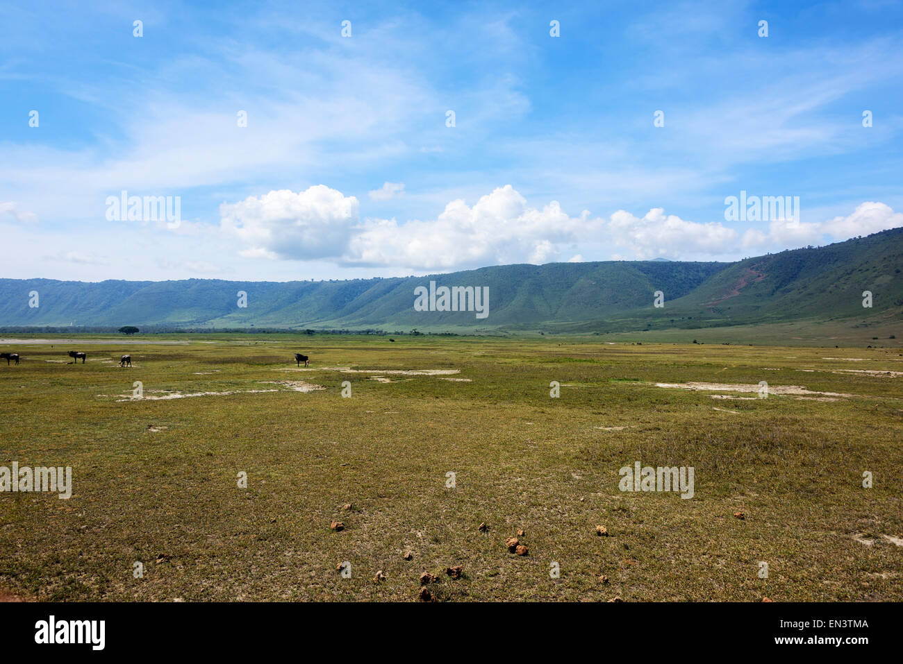 Ngorongoro Conservation Area crater, volcanic caldera, Tanzania, Africa ...