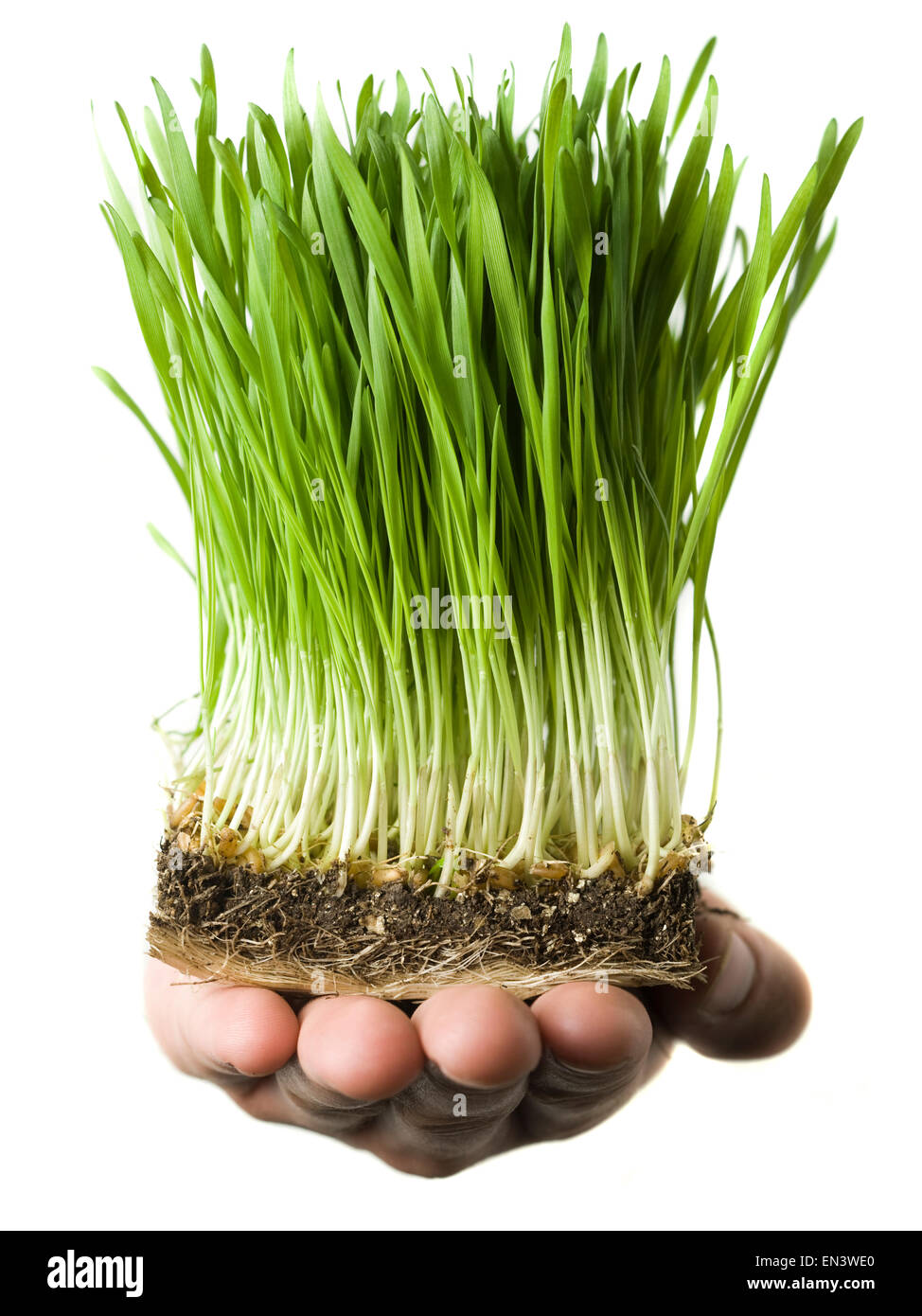 Hand a Cut Out Stock Images & Pictures - Alamy