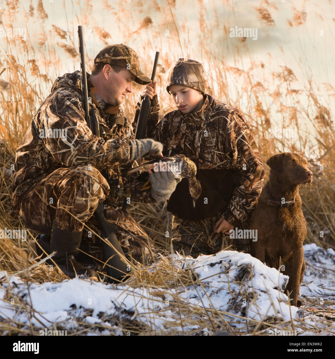 father and son duck hunting with their dog Stock Photo - Alamy
