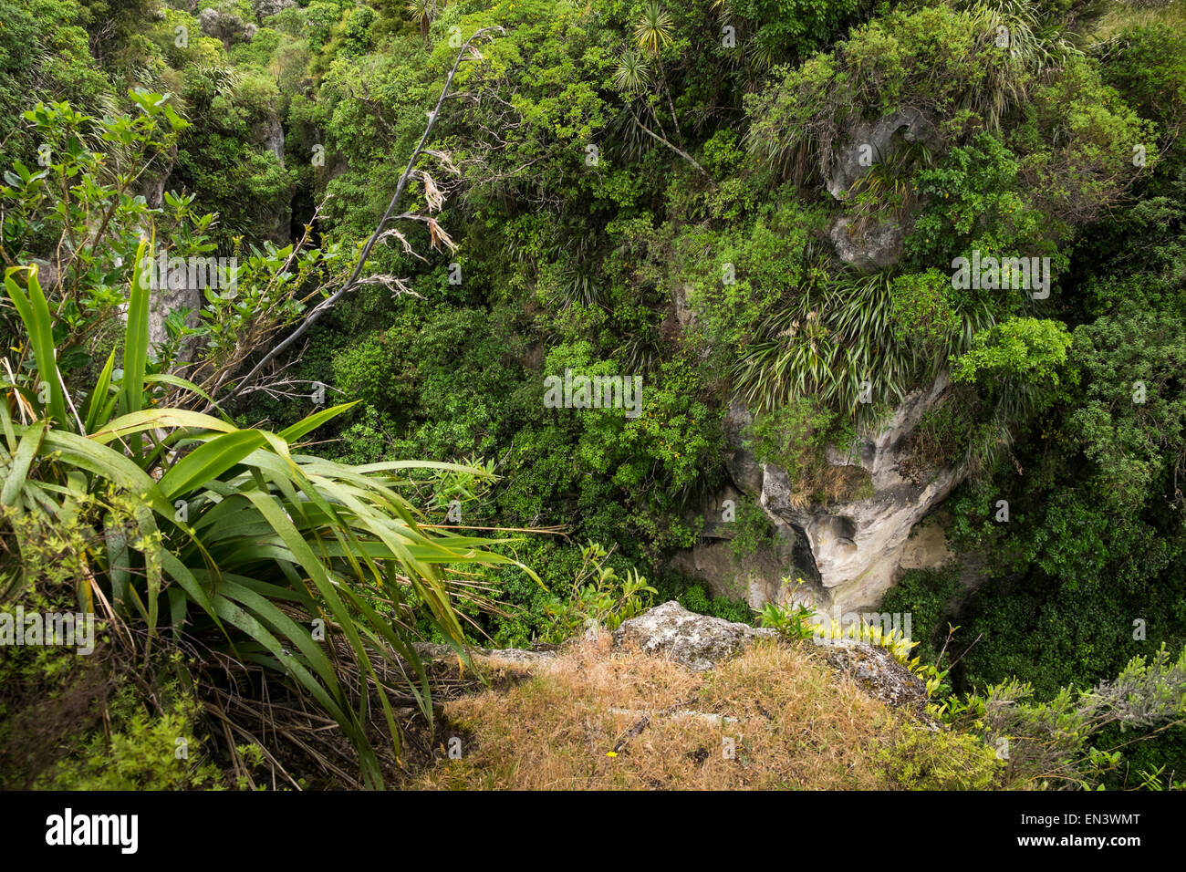 Rock in the Patuna farm chasm which appears to look like ET, New ...