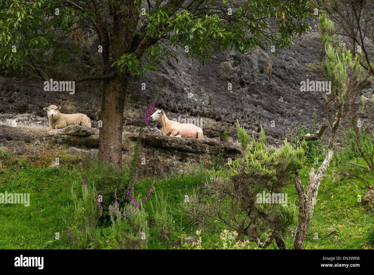 Ledge overhang hi-res stock photography and images - Alamy