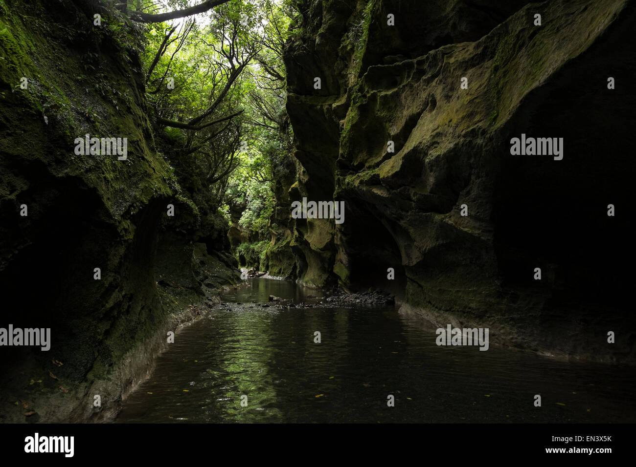 In the Patuna Chasm, gorge, ravine, Wairarapa, New Zealand Stock Photo ...