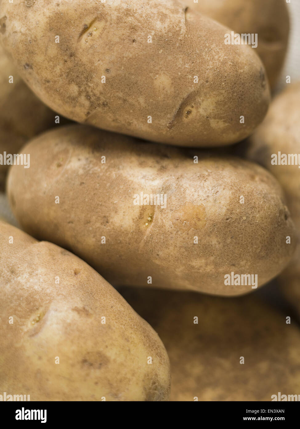 Five detailed images hi-res stock photography and images - Alamy