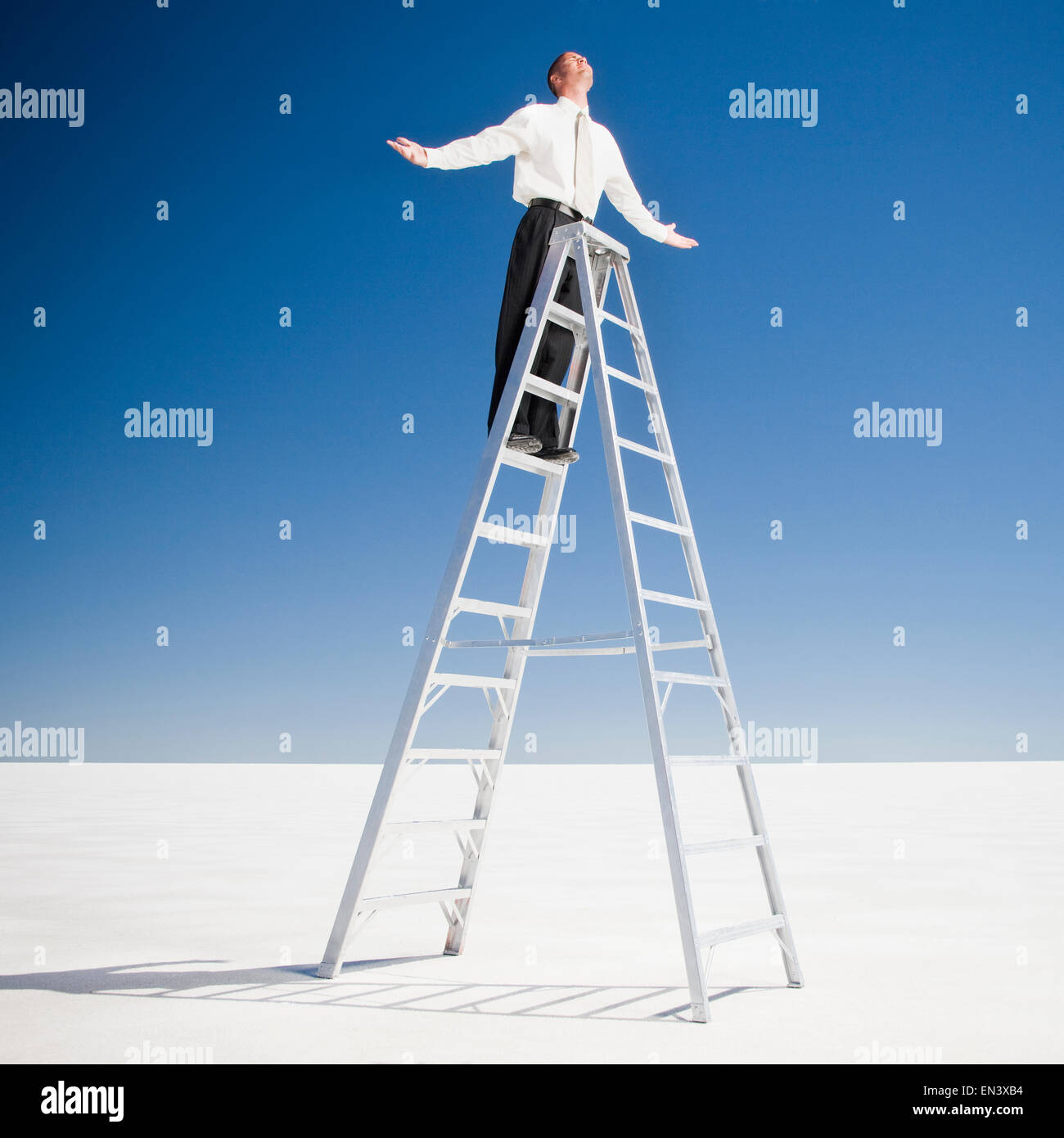 businessman on a ladder Stock Photo - Alamy