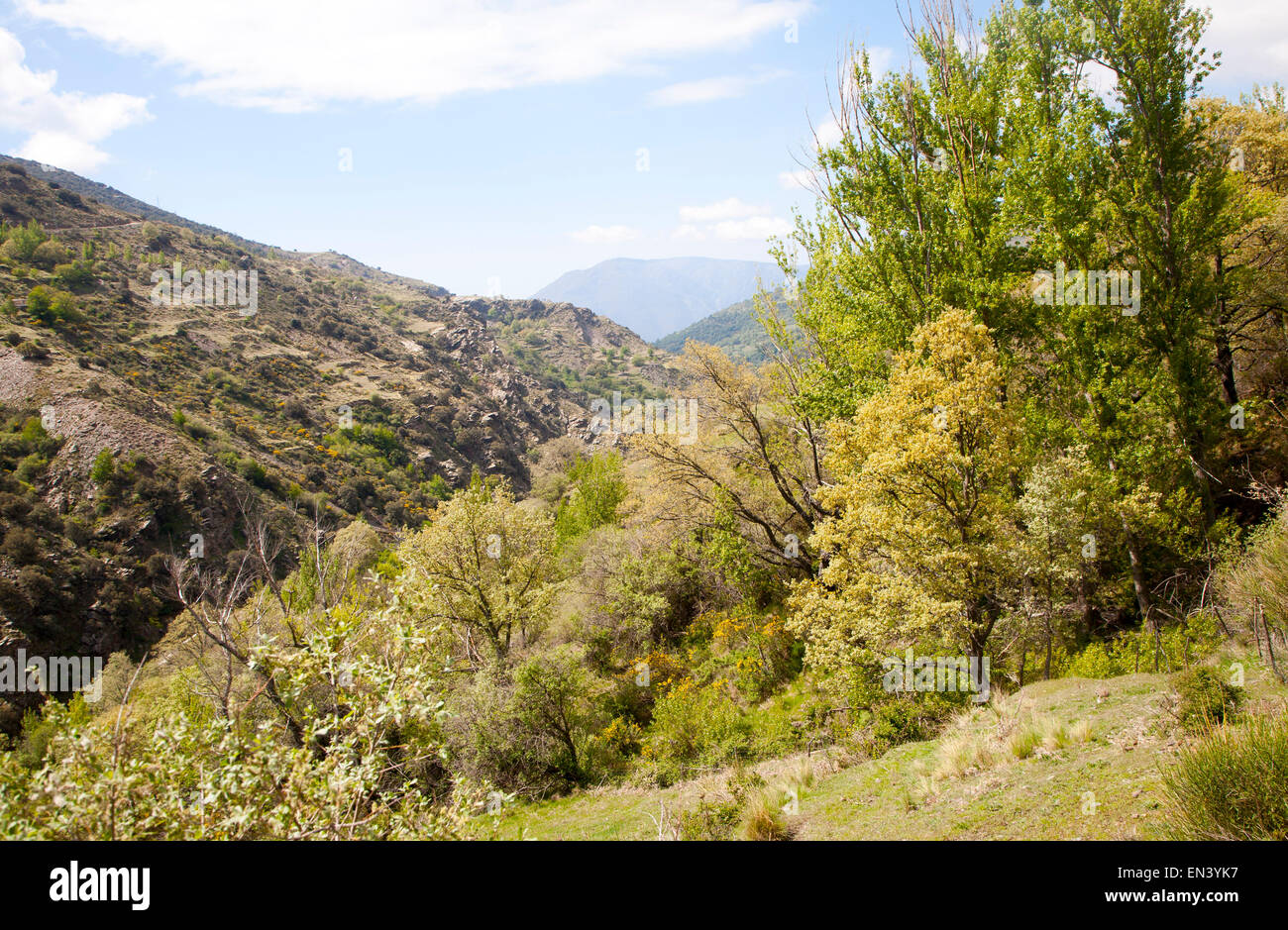 Landscape of the River Rio Poqueira gorge valley, High Alpujarras ...